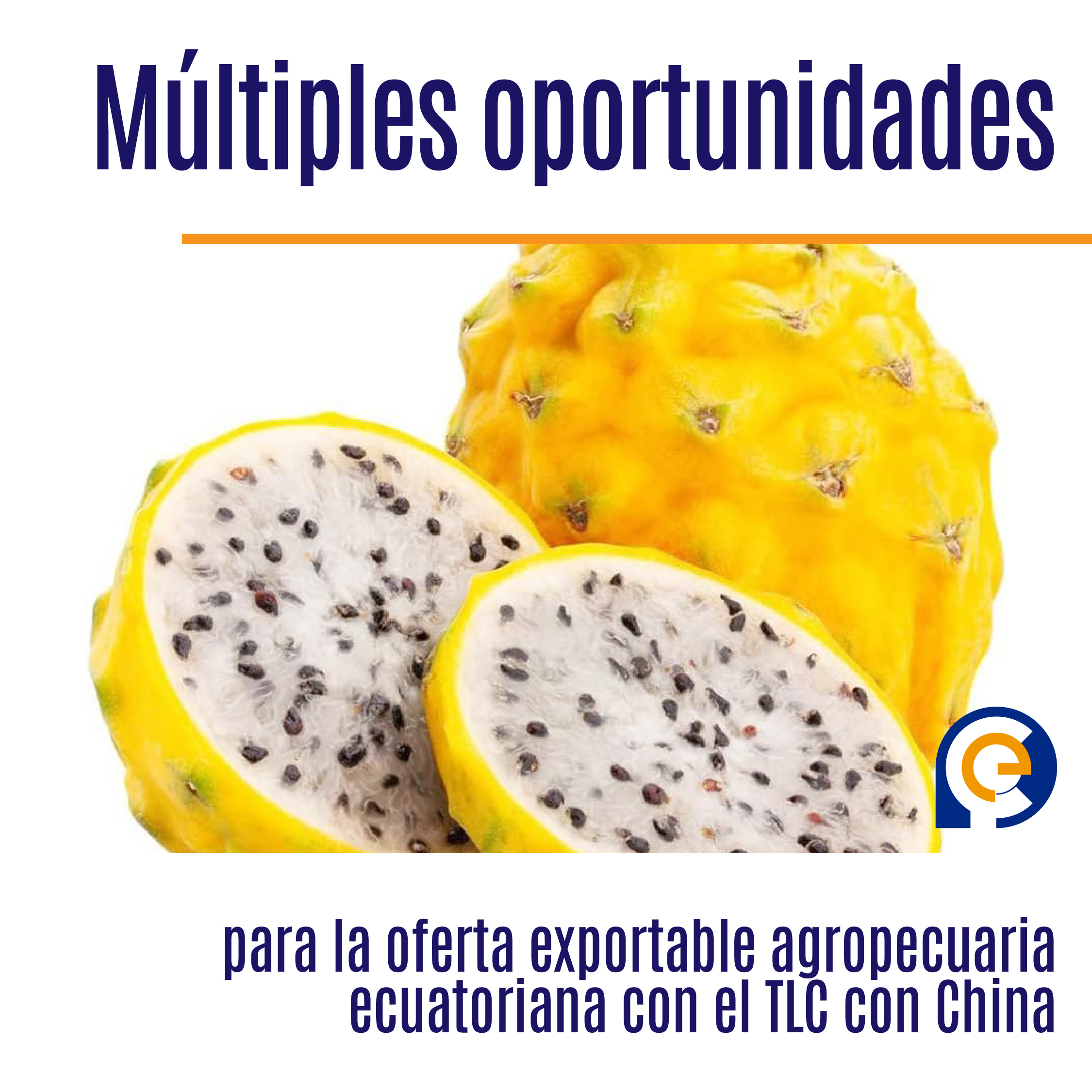 Múltiples oportunidades para la oferta exportable agropecuaria ecuatoriana con el TLC con China